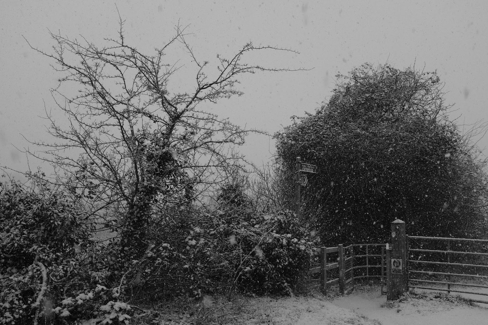 A walk along the River Cam from Cambridge to Fen Ditton and back in the ...