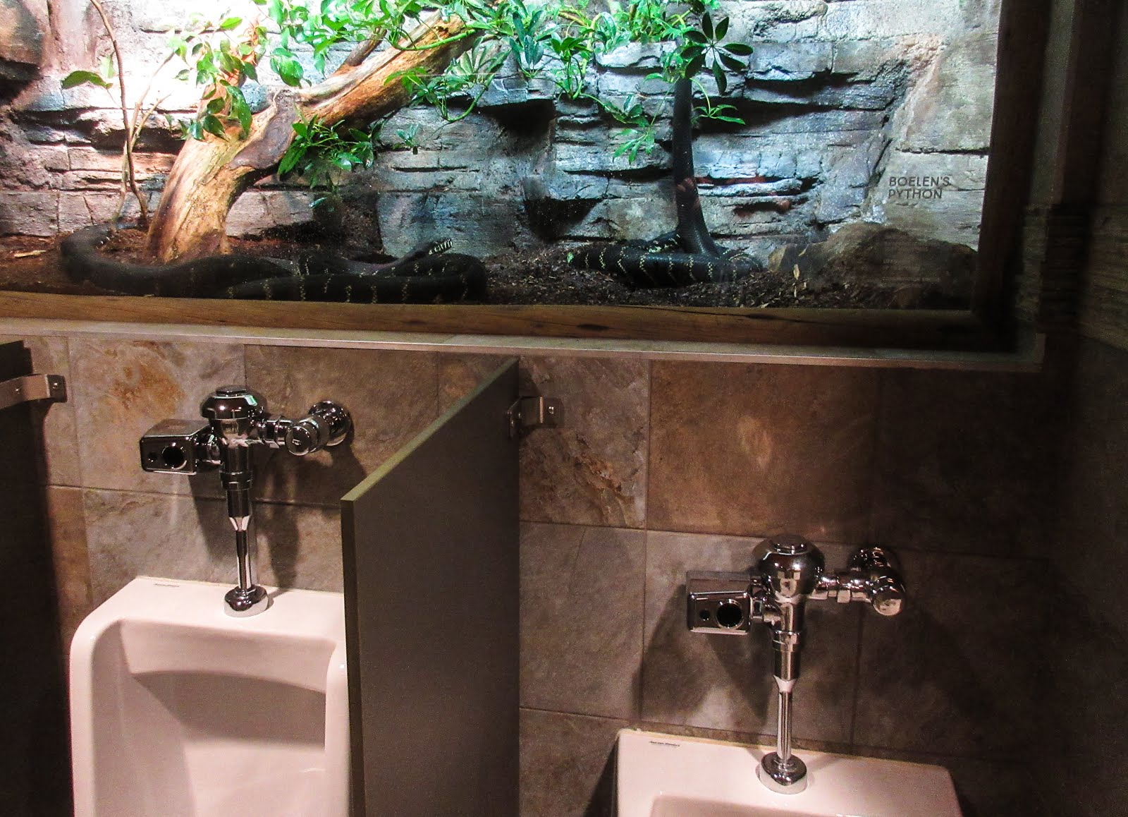 Images from my peripatetic life: Toilet snakes, Nashville Zoo