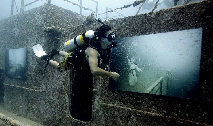 Oh, Bee: Six Months In A Leaky Boat...