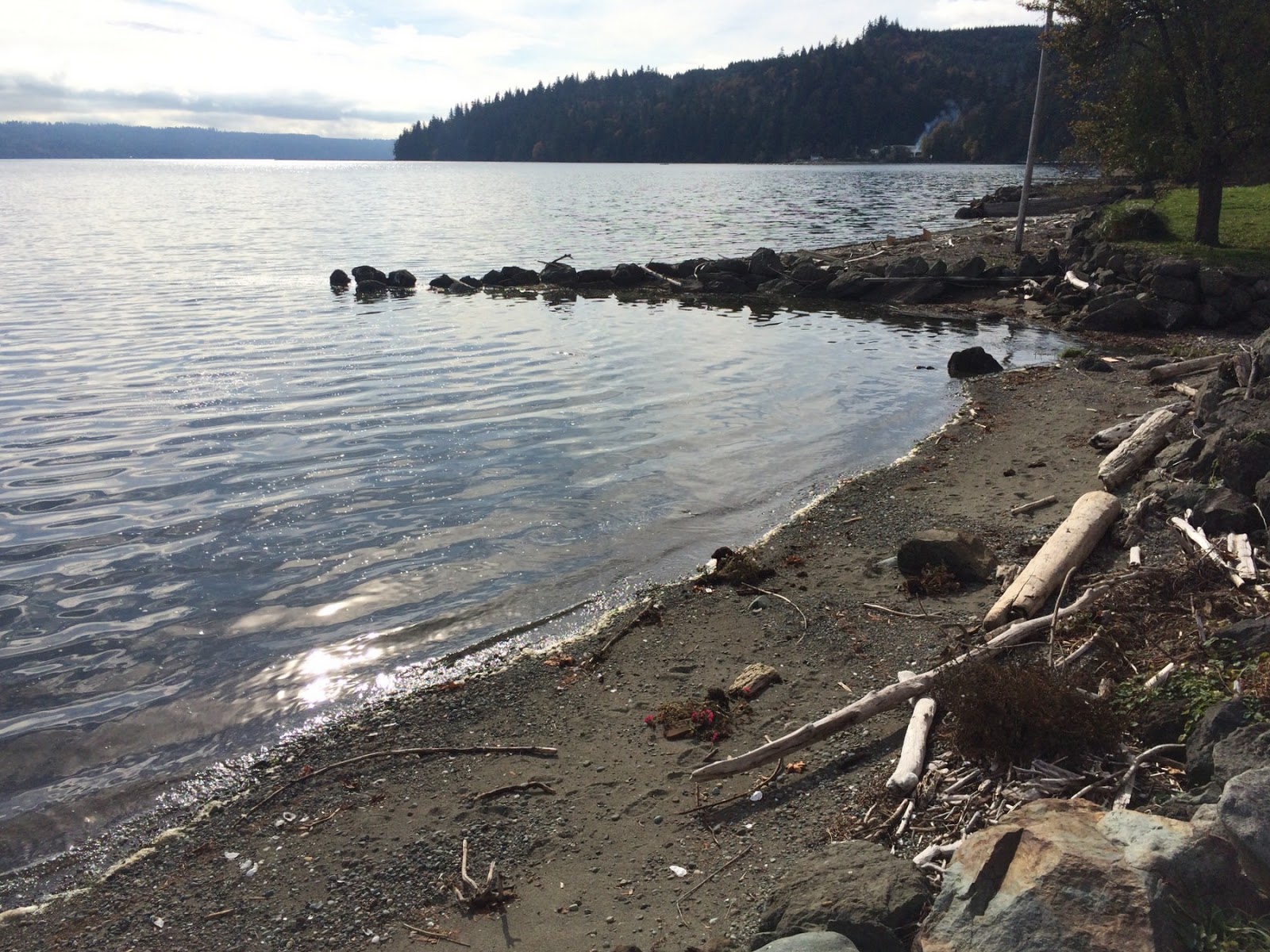 Gravel Beach: Dabob Bay