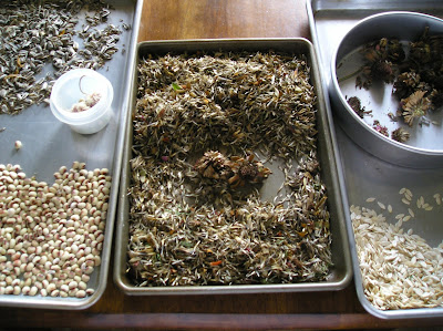 Thoughts from Frank and Fern: Trying Kefir