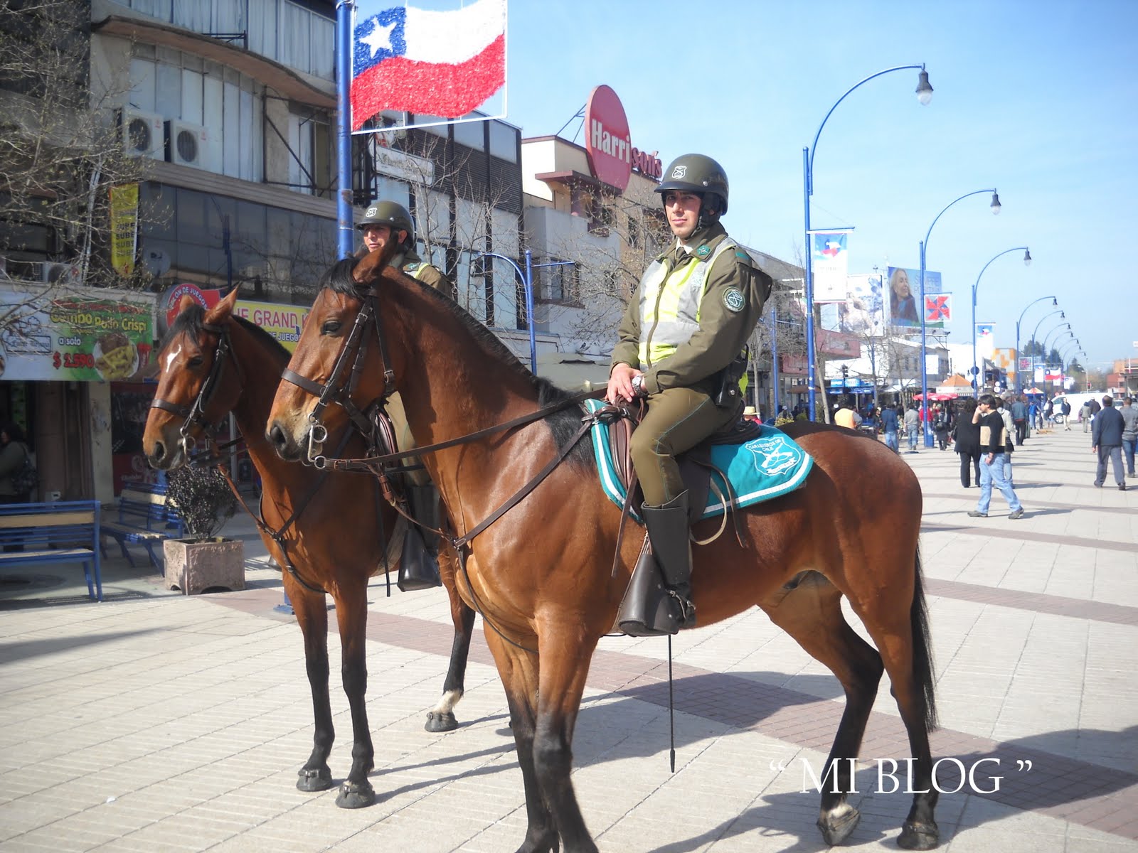 VISUAL..." CARABINEROS DE CHILE " | "Mi Blog"... Blog Cultural y Social.
