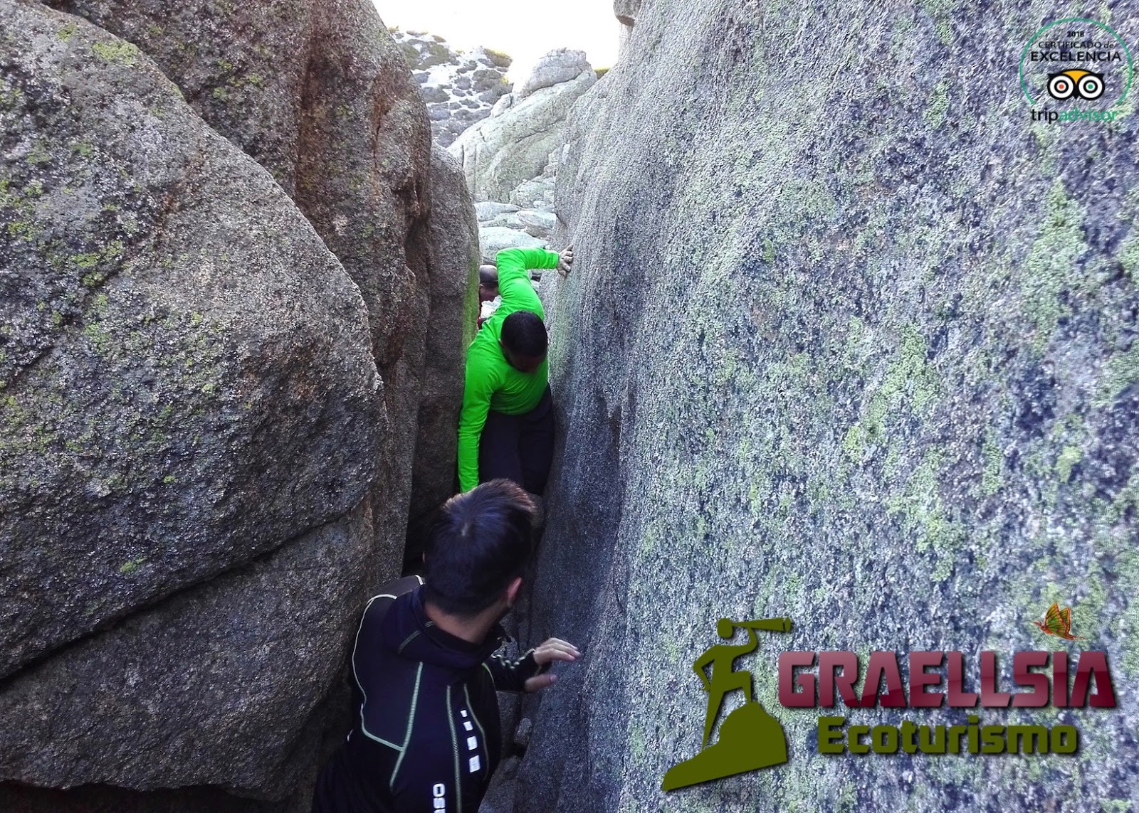 Cuaderno de Campo de Graellsia Ecoturismo: La Pedriza del Manzanares ...