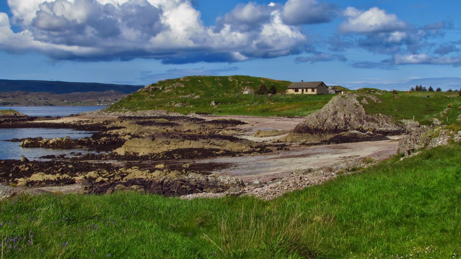 Nimanoma: Rock pooling on the beaches of Scotland