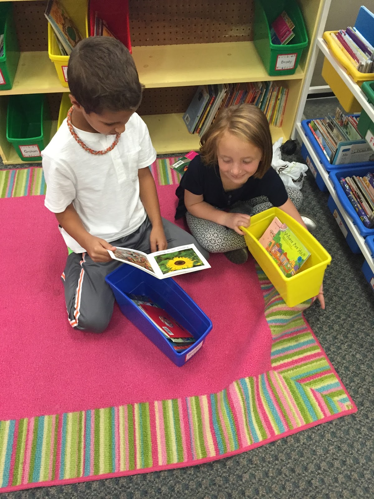 Miss Walsh's First Grade Class!: 2015