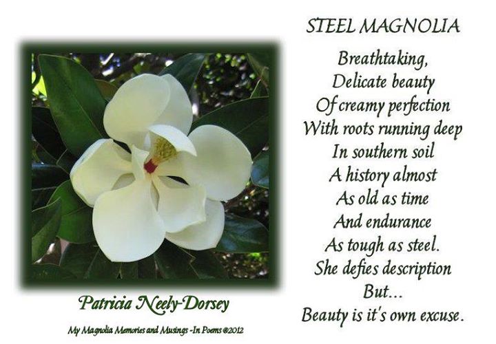 Reflections of a *Mississippi Magnolia*: THIS MISSISSIPPI GIRL LOVES ...