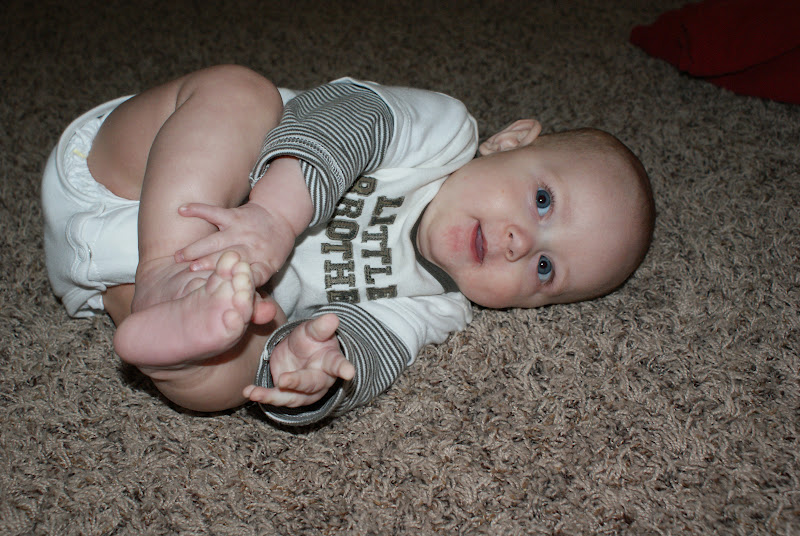 Truly Taylor Chaos: Rolley Polley