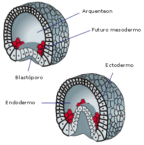 Fernanda López: febrero 2015