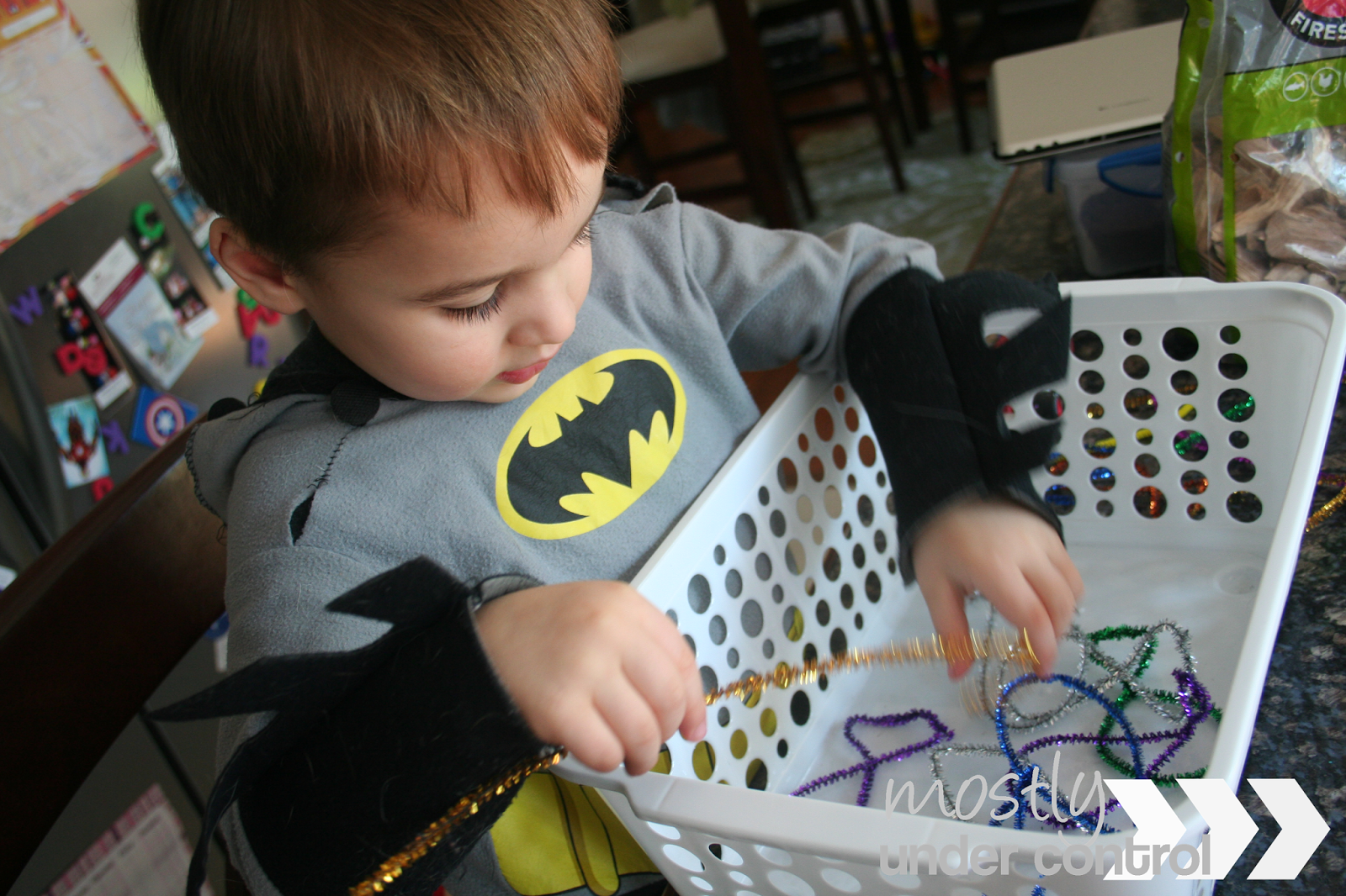 Pipe Cleaner Fishing - Mostly Under Control
