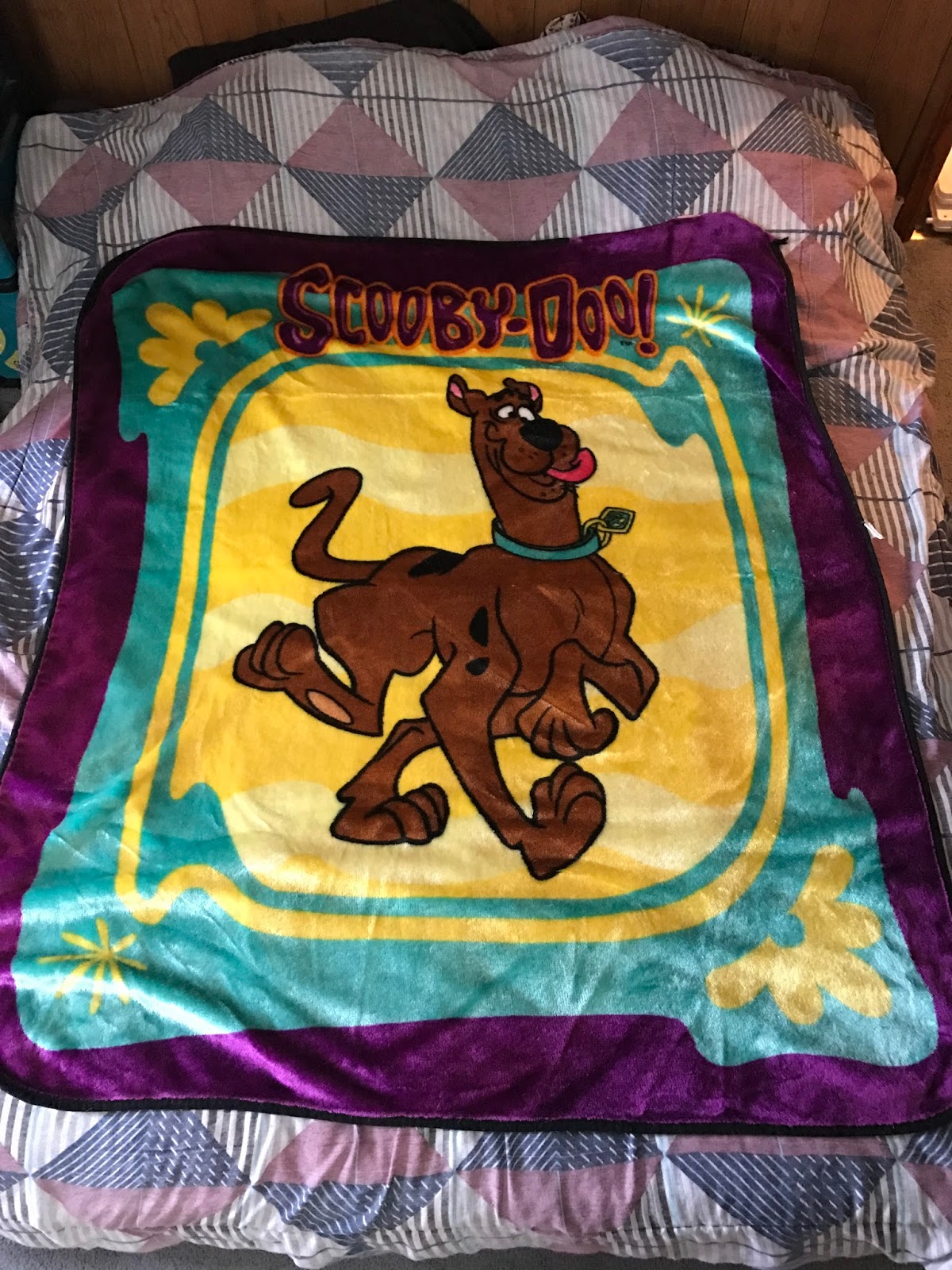 ScoobyAddict's Blog: My Scooby Stuff - Day 81 - Scooby Blanket