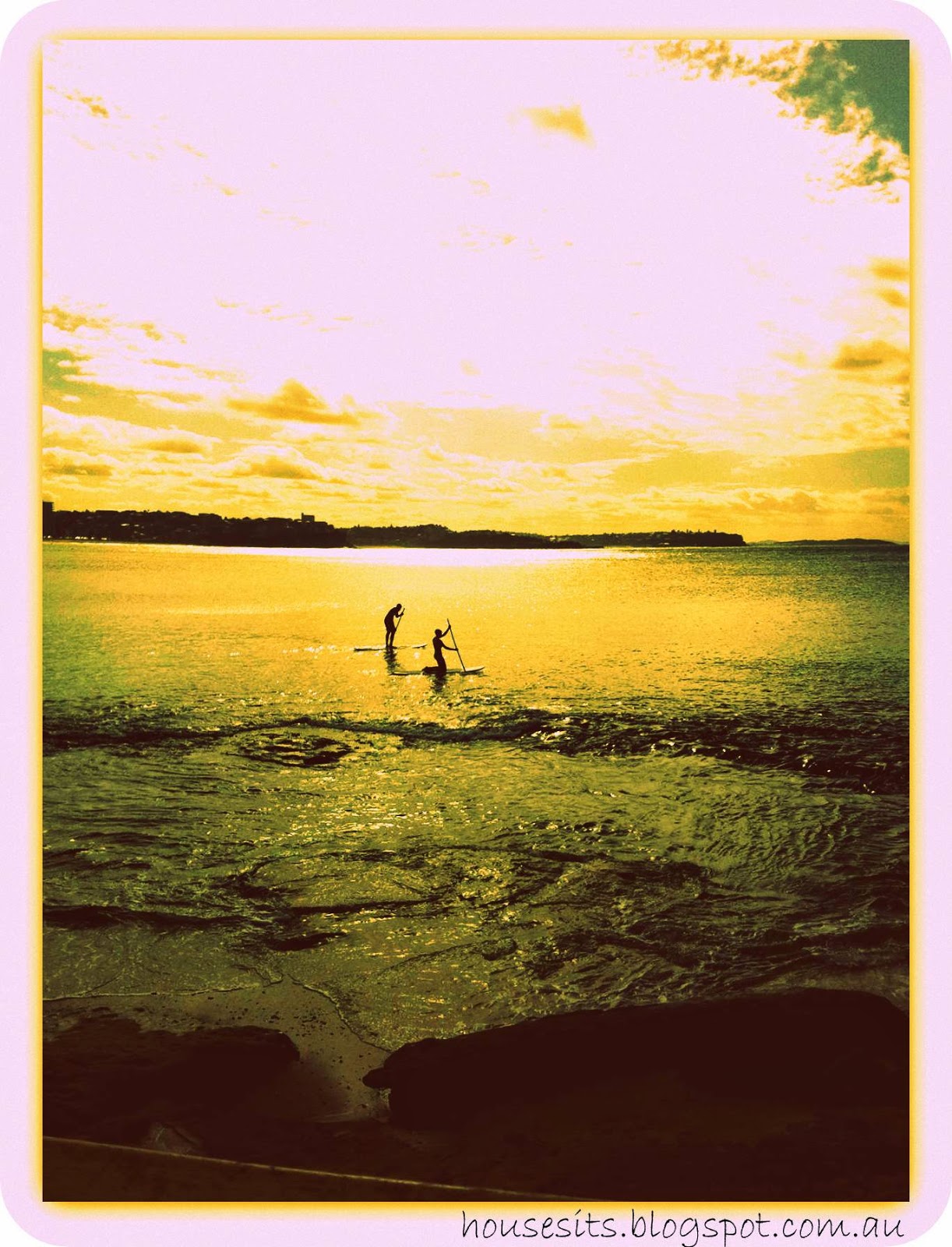 House Sits Blog : Manly Scenic Walkway