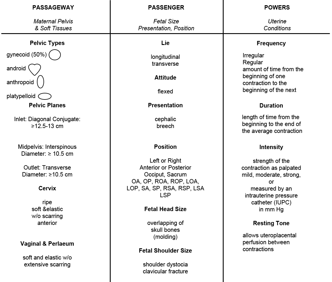 Pathophysiology: 3 P's (Labor to Delivery) - Passageway, Passenger, Powers