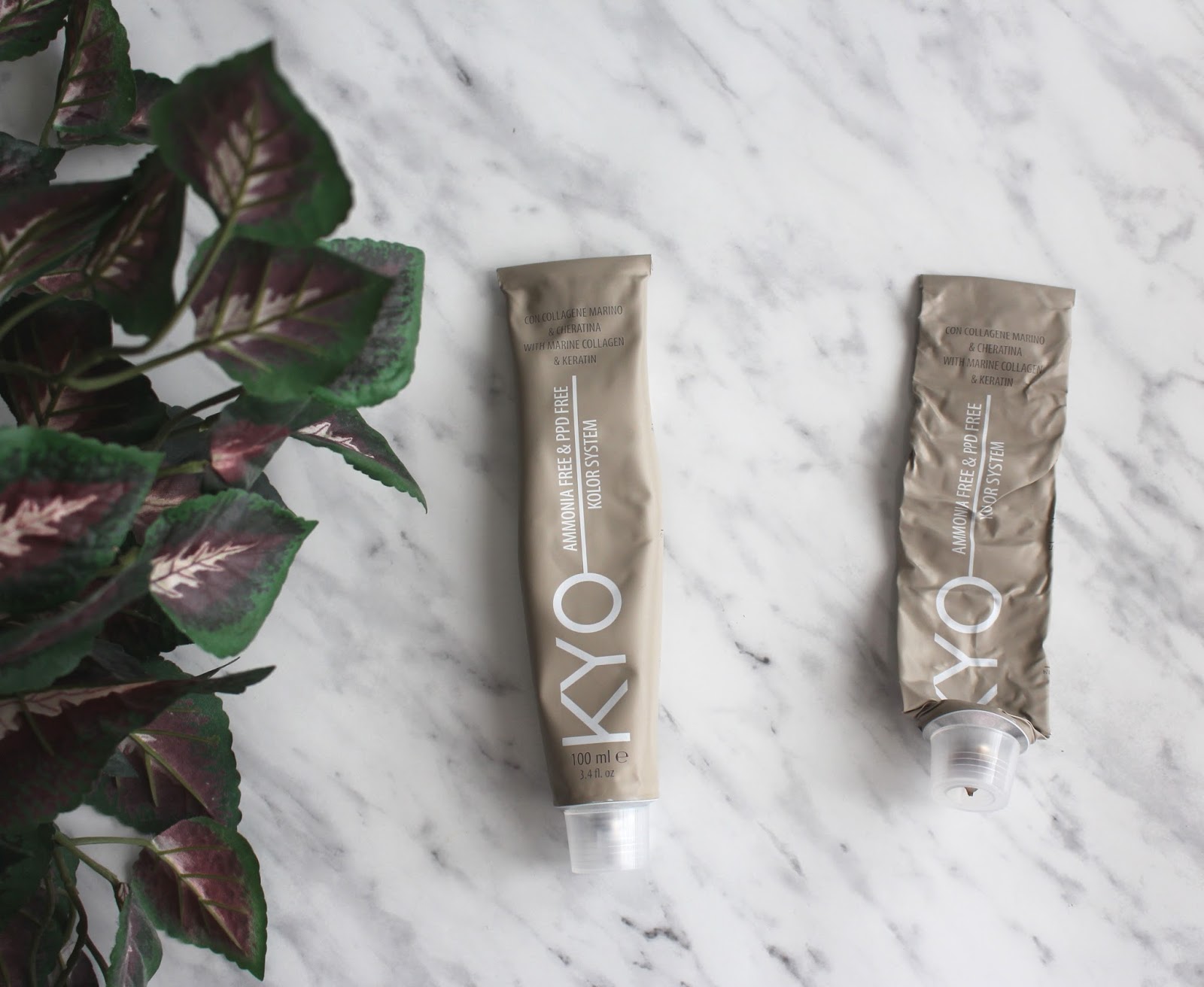 Kyo ammonia free hair dyes | BEAUTY FINE PRINT