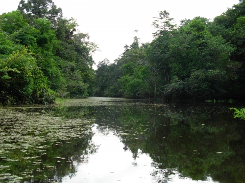 Estado apure - Venezblogger