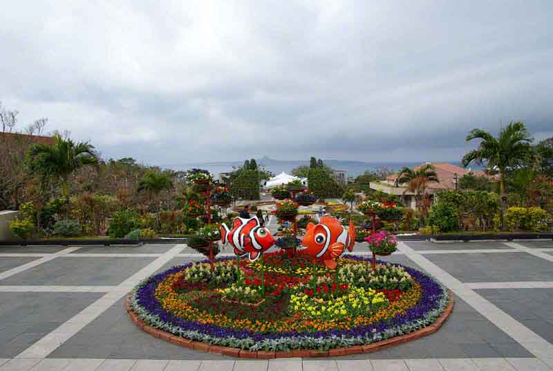 Ryukyu Life: Travel Photo: View of Ie Jima from Motobu