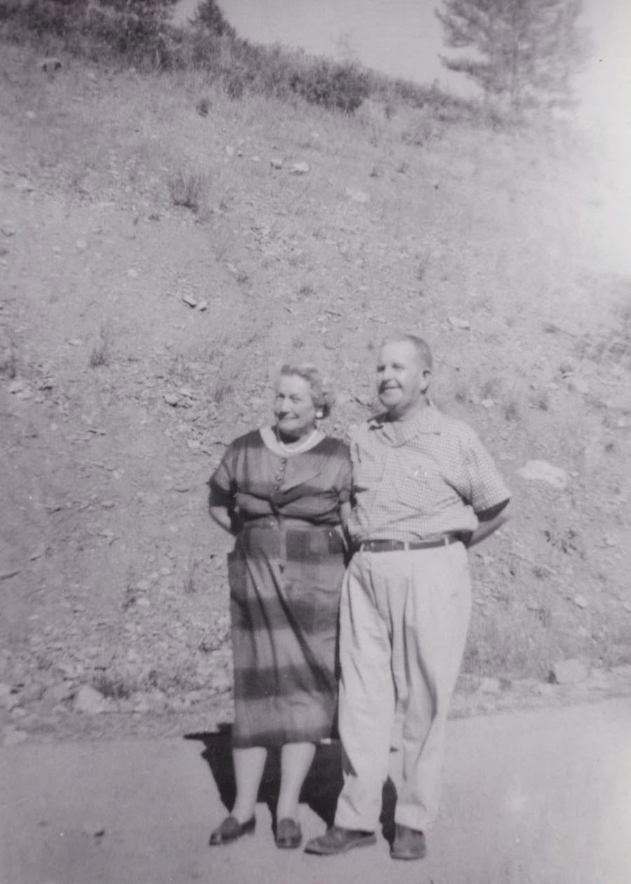 Foote-steps to My Past: Foote Family History and Beyond: Luella Cook ...