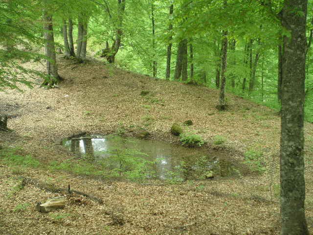 RRAJCA JONE: pejsazhe natyrore