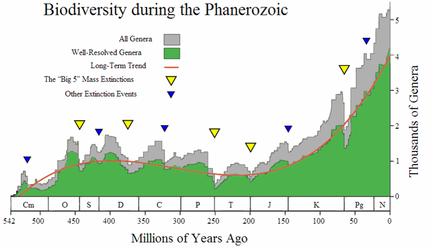 Things We Don't Know: Mass Extinction