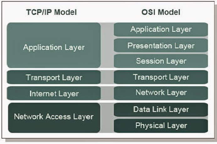 Cisco Network Education Thailand: TCP/IP Model