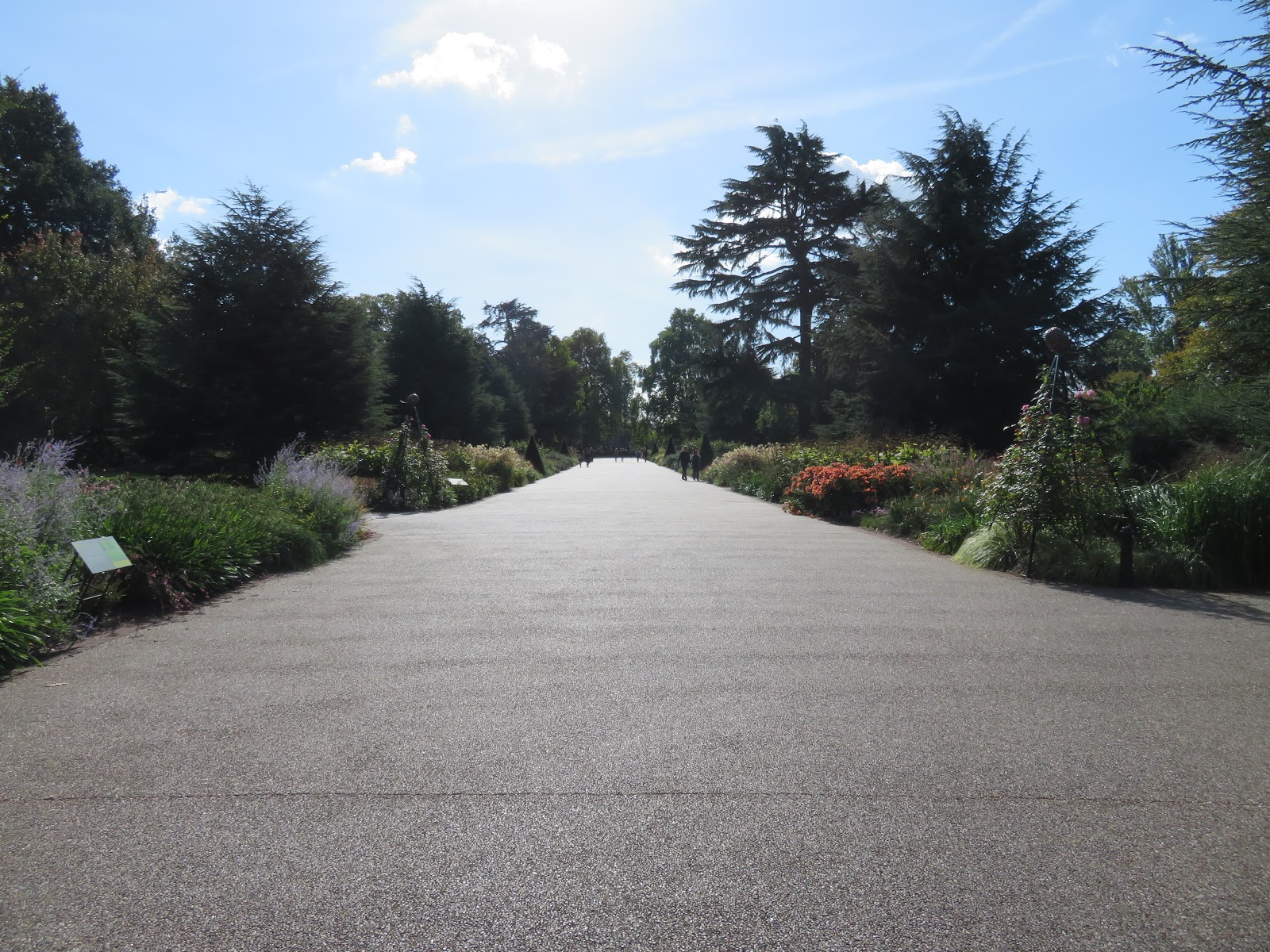 Let's Go! The Great Broad Walk at Kew Gardens
