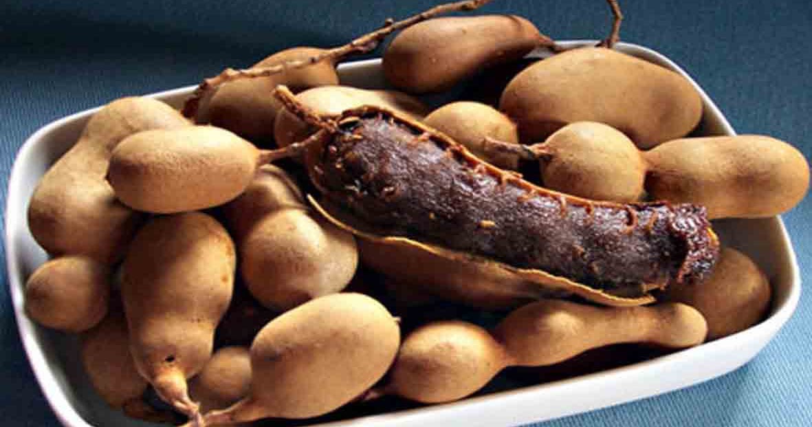 Manfaat dan Khasiat Asam Jawa Untuk Pengobatan dan Kecantikan