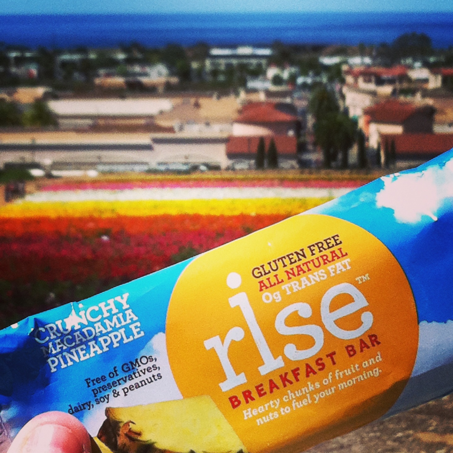 Annie's Gluten Free Grub: RiseBar