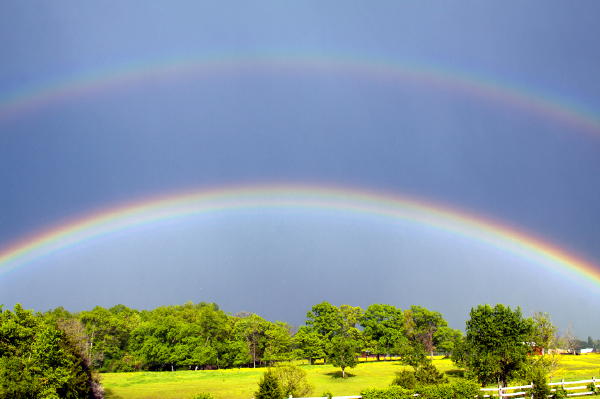 Sips of Sunshine: Double Rainbow