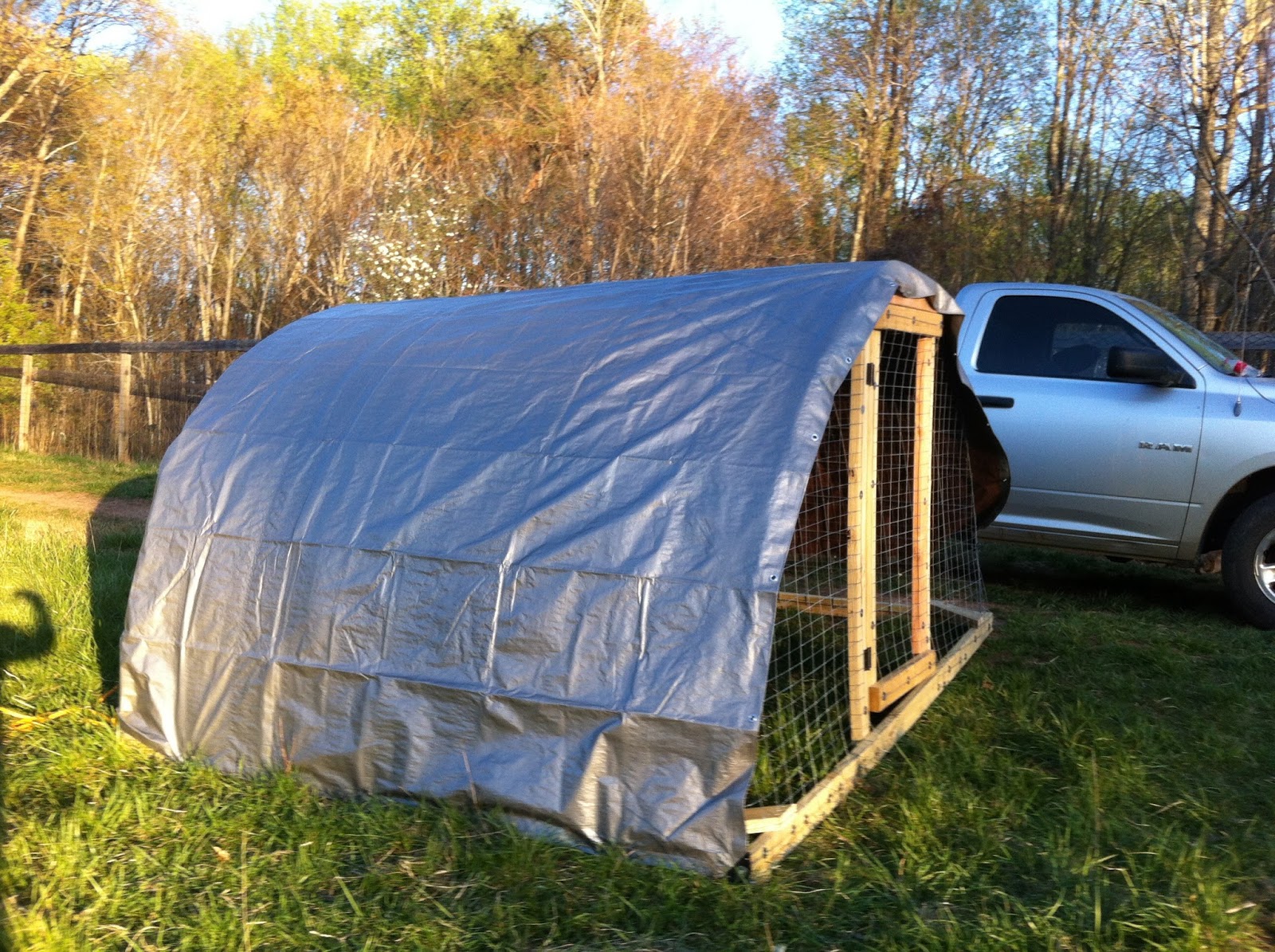 The Sustainable Homestead: 2016