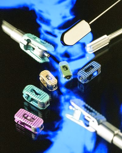 Spine Surgery and Treatment in India : The PLIF and TLIF approach has ...