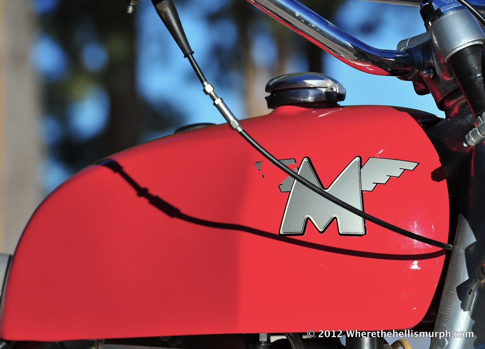 Where the Hell is Murph ?...: April 22, 2012