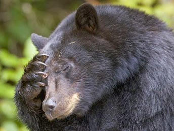 El Descanso del Escriba: Pre-pedidos de esta semana,una opinión(El ...