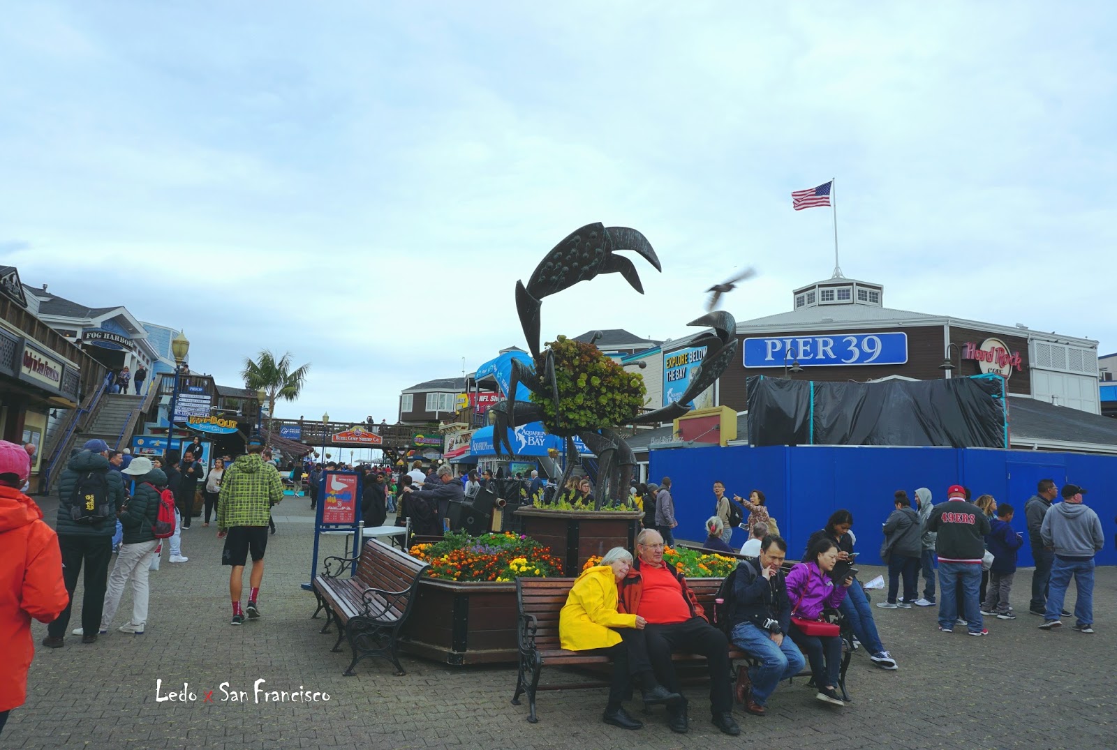 Ledo漫步: 舊金山｜三十九號碼頭 Pier 39