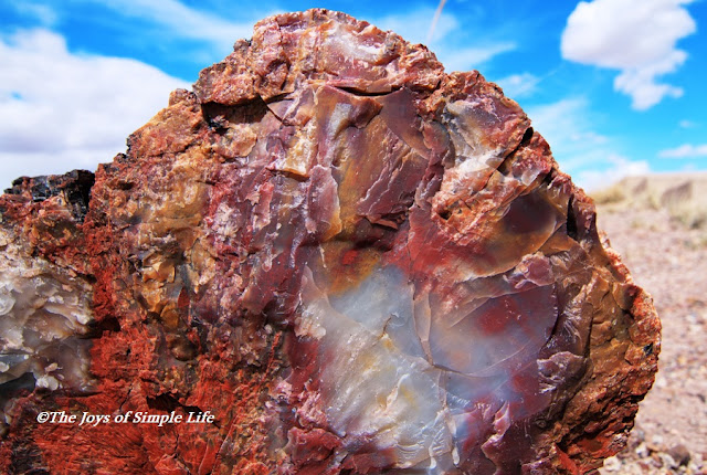 The Joys of Simple Life: Visiting the Past at Petrified Forest National ...