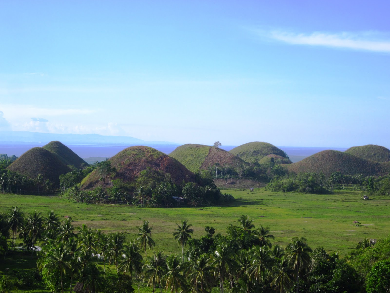 the traveller & her thoughts: SAGBAYAN PEAK (bohol)