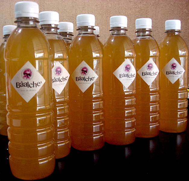 A-BAK' 2013: A-BAK’ 2013: LAS BEBIDAS SAGRADAS MAYAS