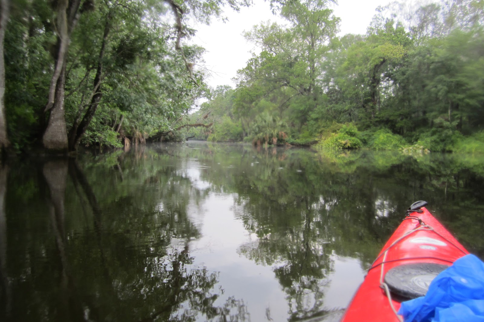 Dave's Yak Tales: Wekiva River