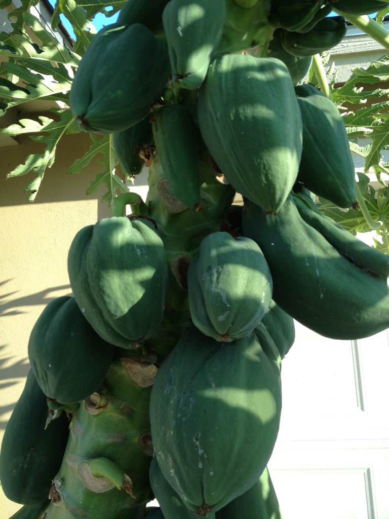 New Vision Community Church: Teaching Laredo's Poor Self-Sufficiency ...