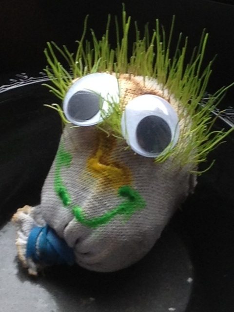 Kitchen Magicians: SOCK CHIA PETS CRAFT