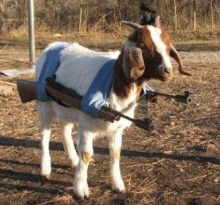 Land Snark: Why I Love Being a Redneck