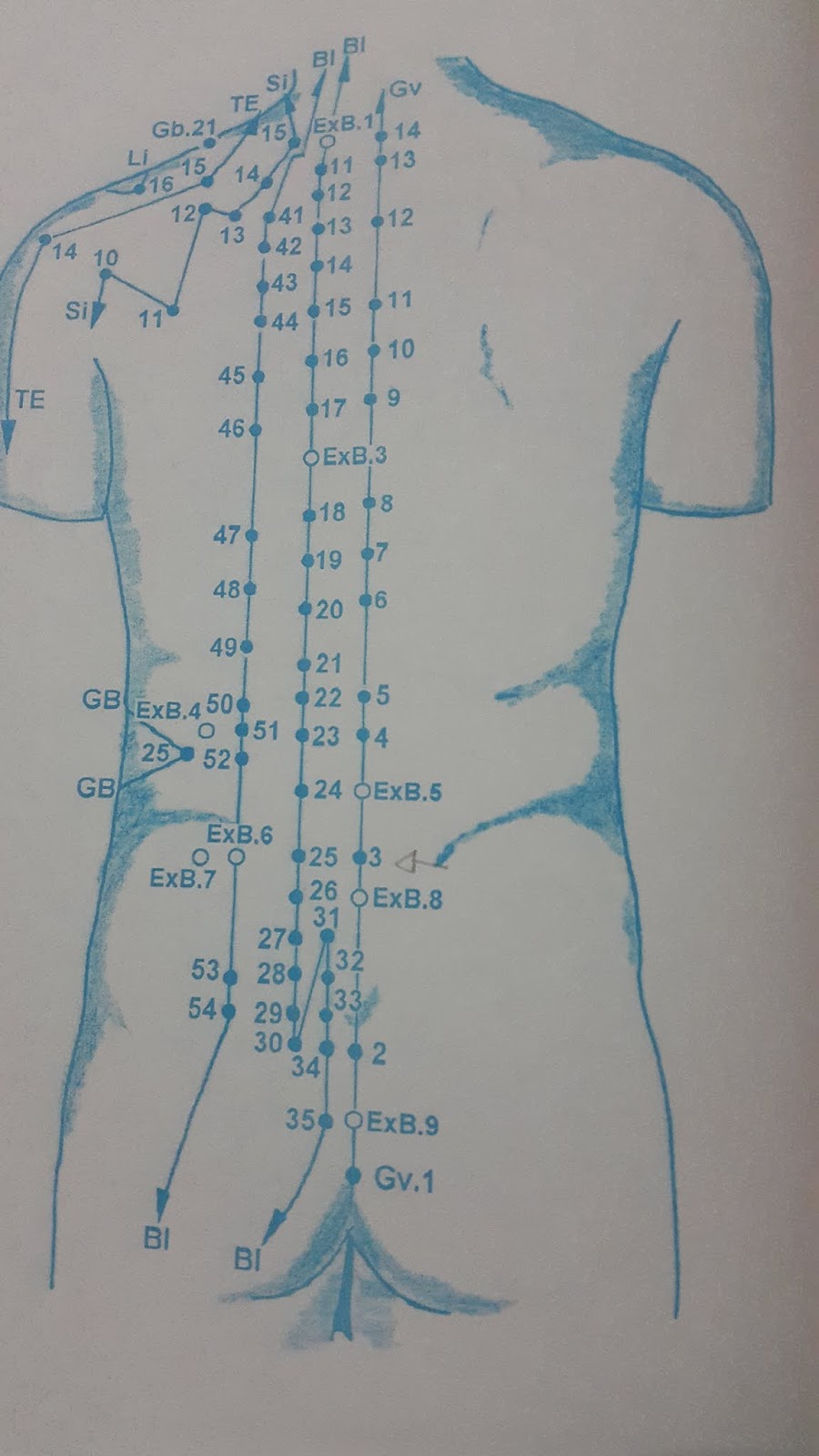 Pijat Urut Kelapa Gading: Titik Ming Men Vs Sakit Ginjal atau Pinggang