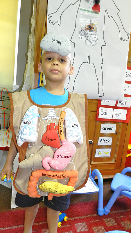 PattyKakes Kidz Preschool: The Human Body