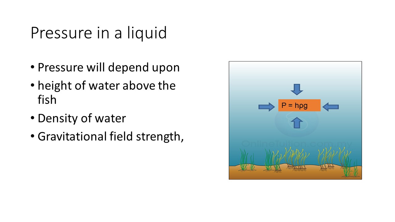 Y11 igcse Physics: Pressure revision