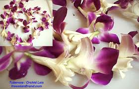 FLOWERS ENCYCLOPAEDIA: Tuberose Flowers