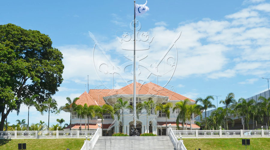 ISTANA DIRAJA JOHOR: JATA KERAJAAN JOHOR