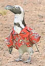 Kia's Little Family: Making Memories; Movie Memories - 50 First Dates