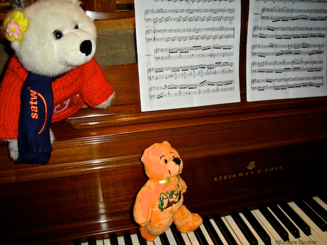 SATW Canada Travelling Teddy Bear Blog: Bella Bella at the MIM