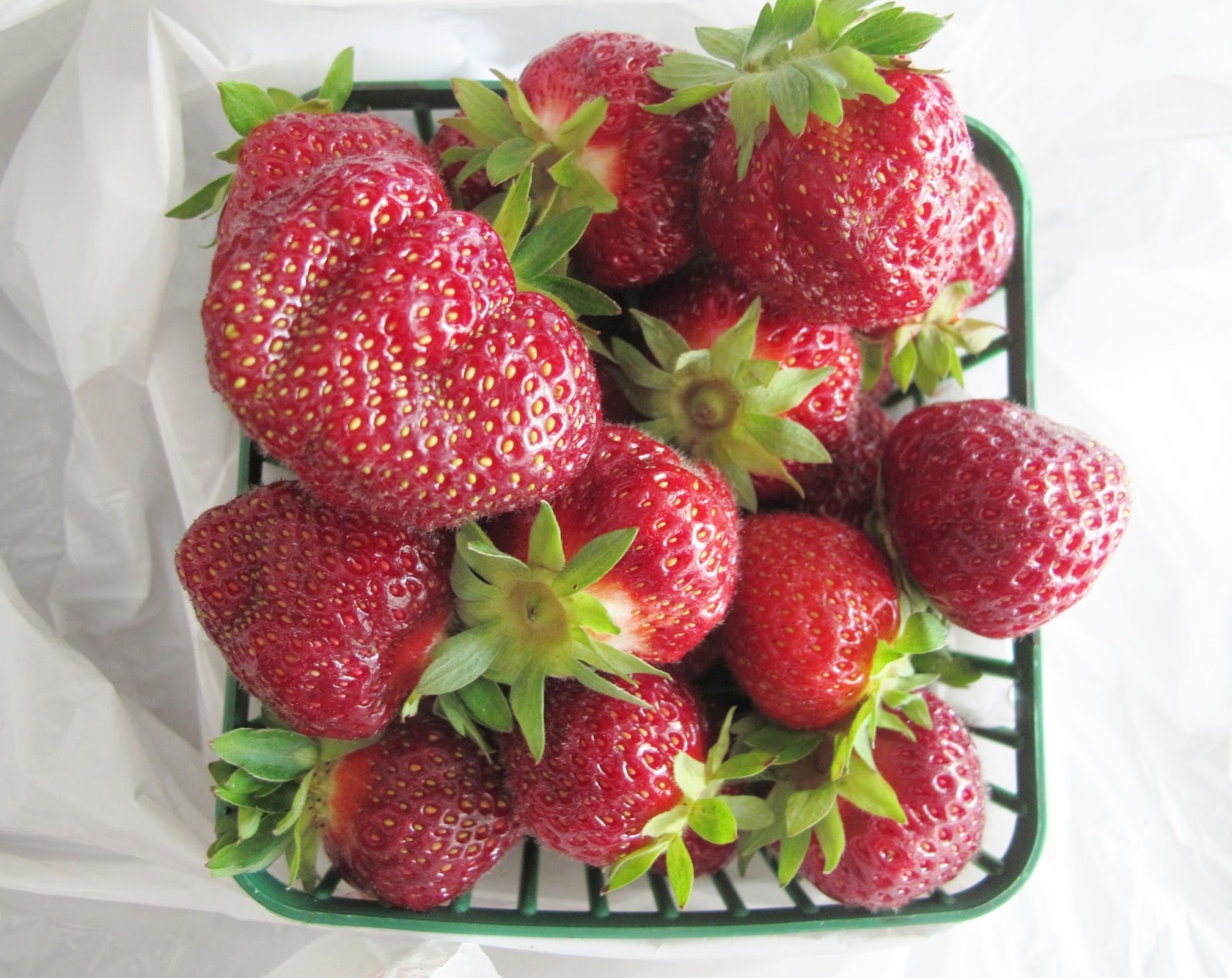 BITE. EAT. REPEAT.: STRAWBERRY FIELDS FOREVER.