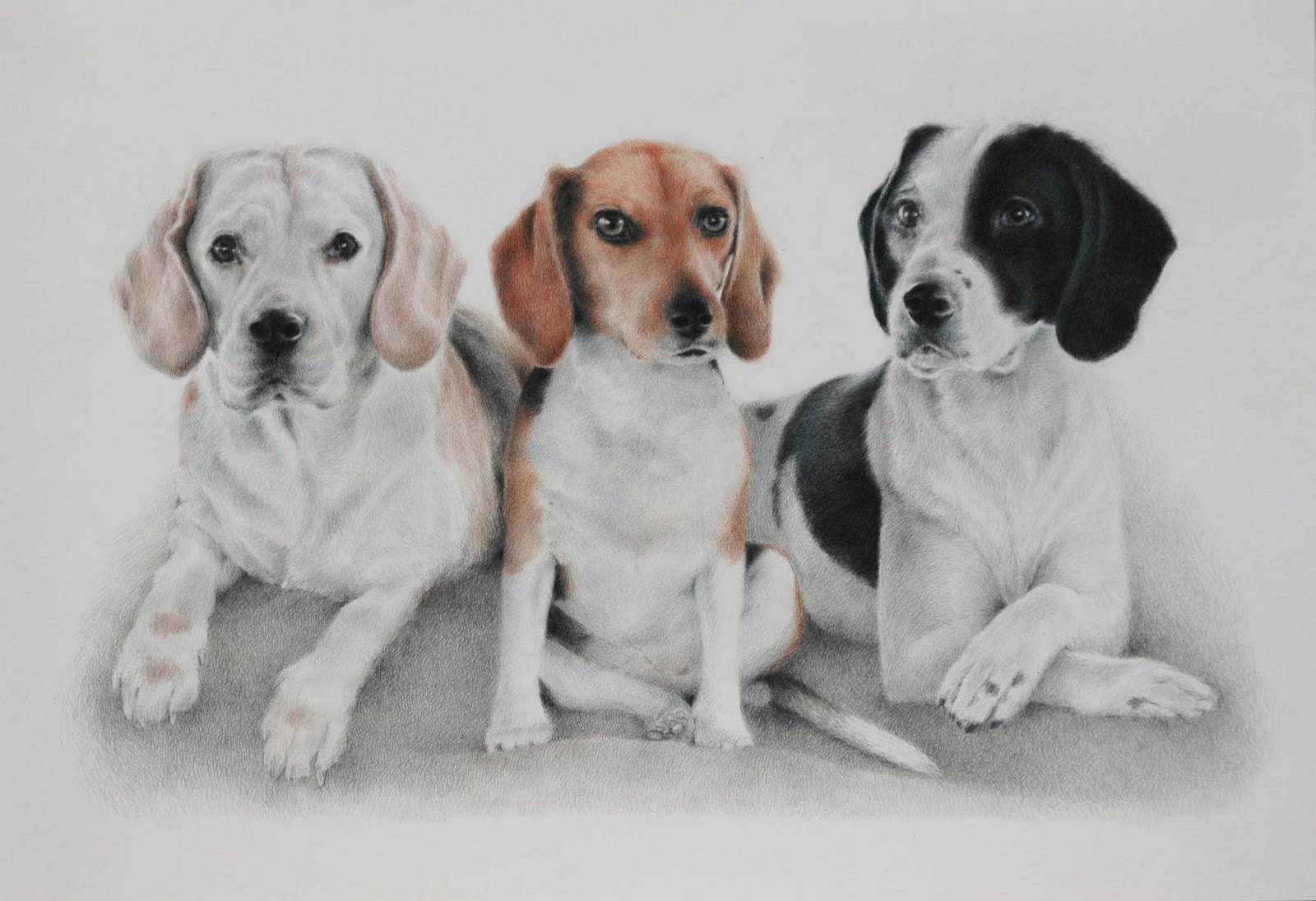 Colour pencil drawings by Susan Brinkmann