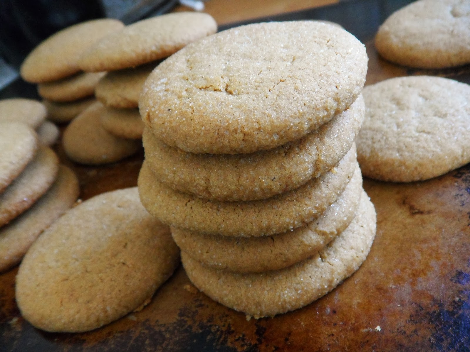 Devour: Gingerbread Cookies