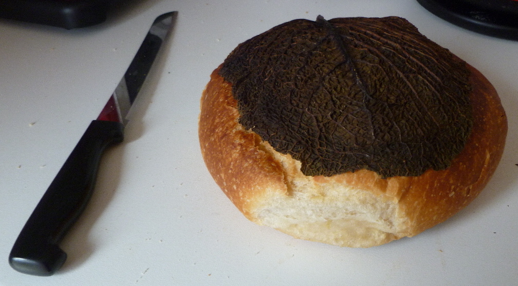 Thoughts and Ramblings: #Project 366 Week 8